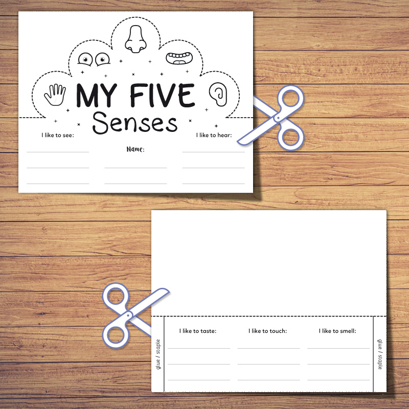 My Five Senses | Likes and Dislikes | Made By Teachers