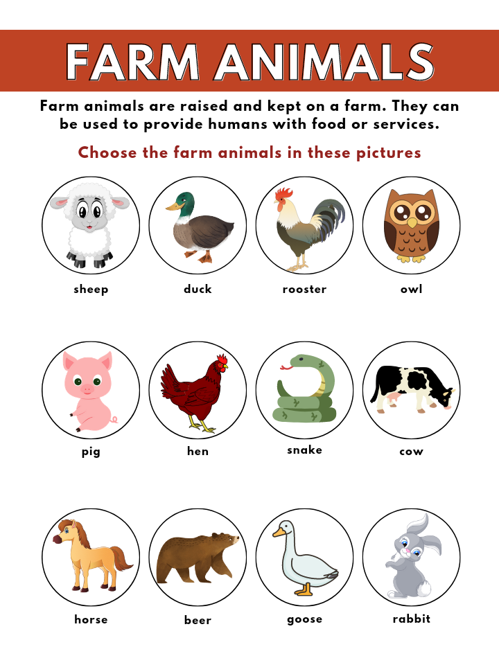♥6 Worksheets Animals♥ | Made By Teachers