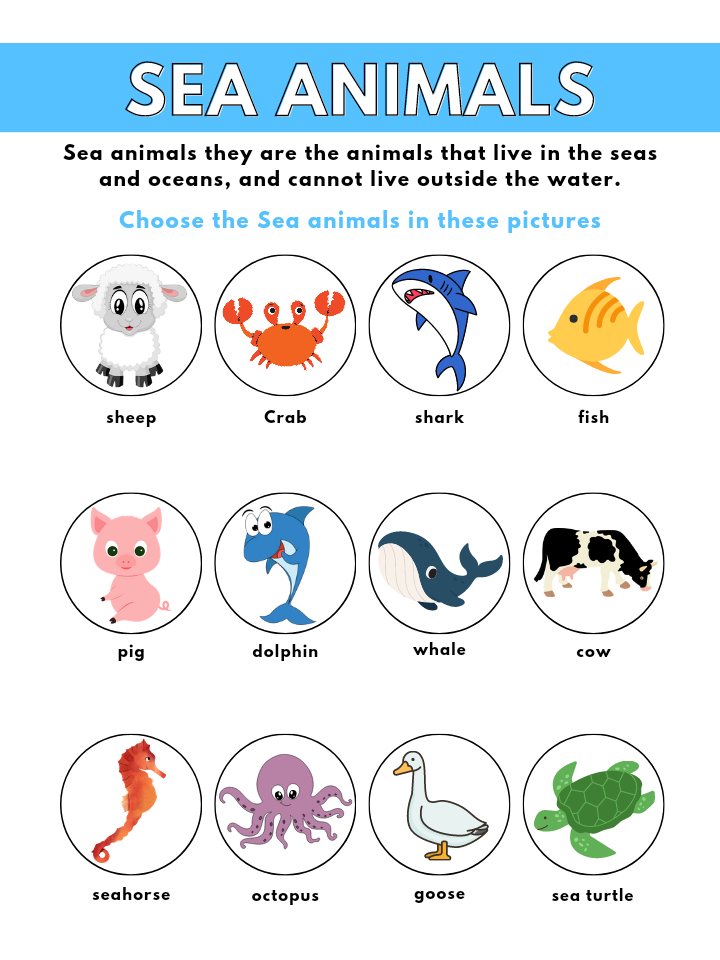 ♥6 Worksheets Animals♥ | Made By Teachers