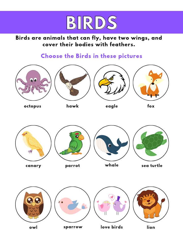 ♥6 Worksheets Animals♥ | Made By Teachers