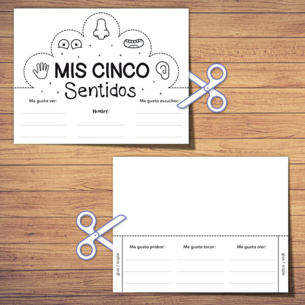 Mis Cinco Sentidos Me Gusta | No Me Gusta | Made By Teachers