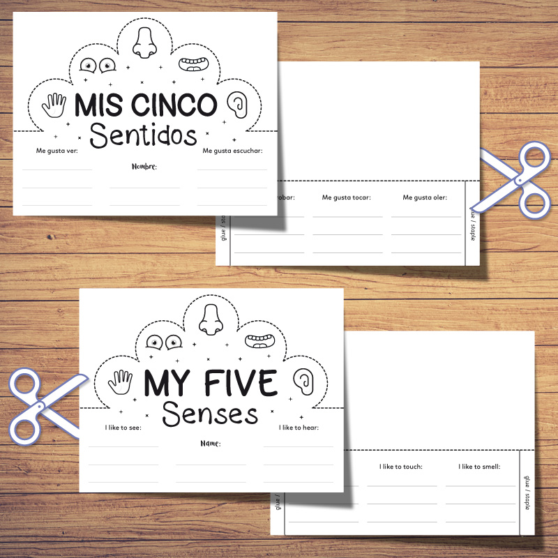 My Five Senses | Likes and Dislikes BUNDLE | Made By Teachers
