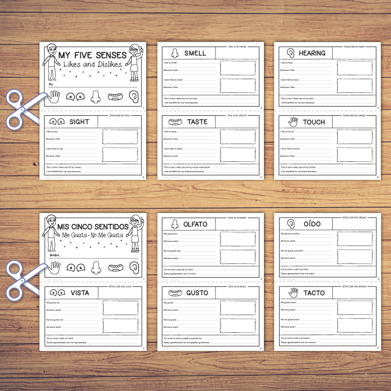 My Five Senses | Likes and Dislikes BUNDLE | Made By Teachers