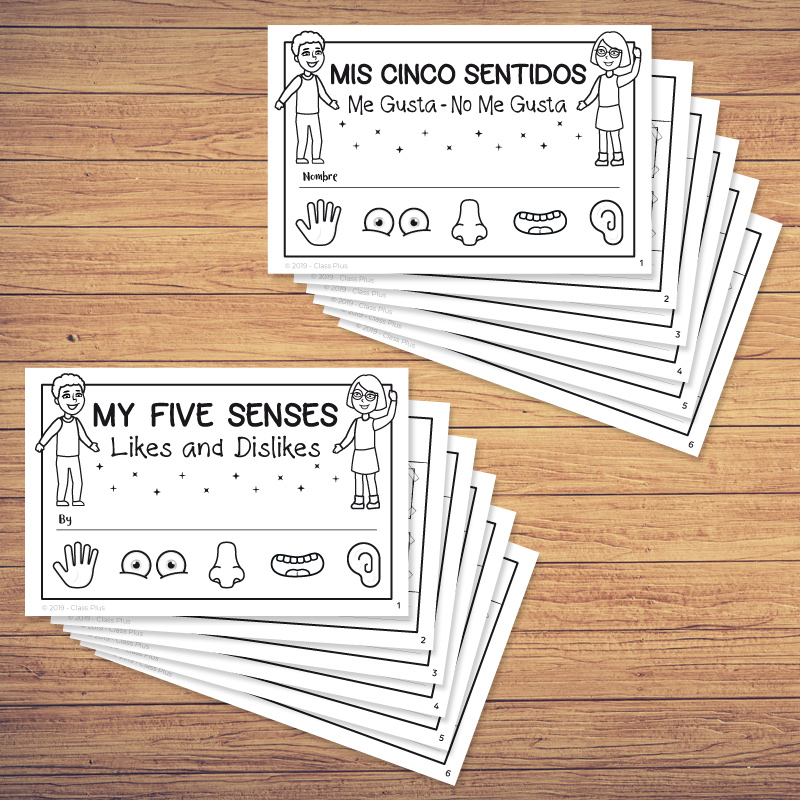My Five Senses | Likes and Dislikes BUNDLE | Made By Teachers