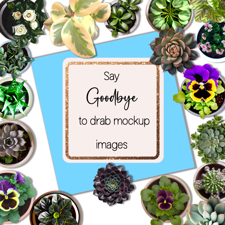 Plants and Succulents Mock-up png images | Made By Teachers
