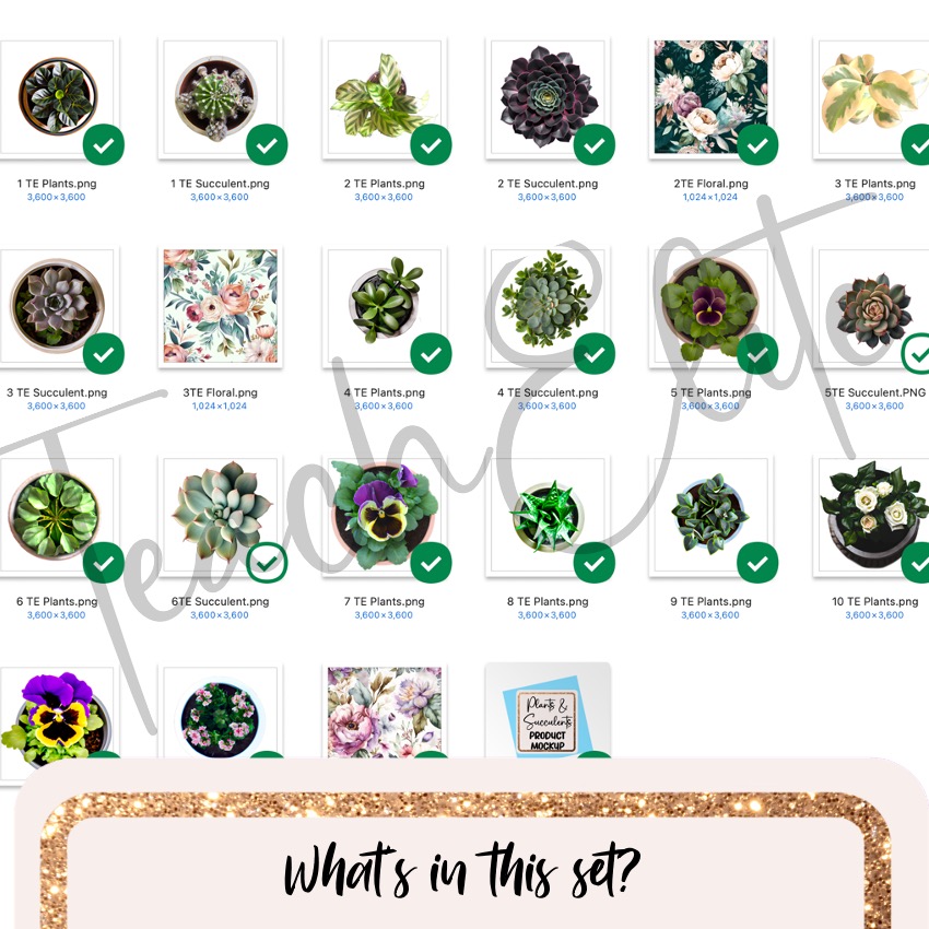 Plants and Succulents Mock-up png images | Made By Teachers