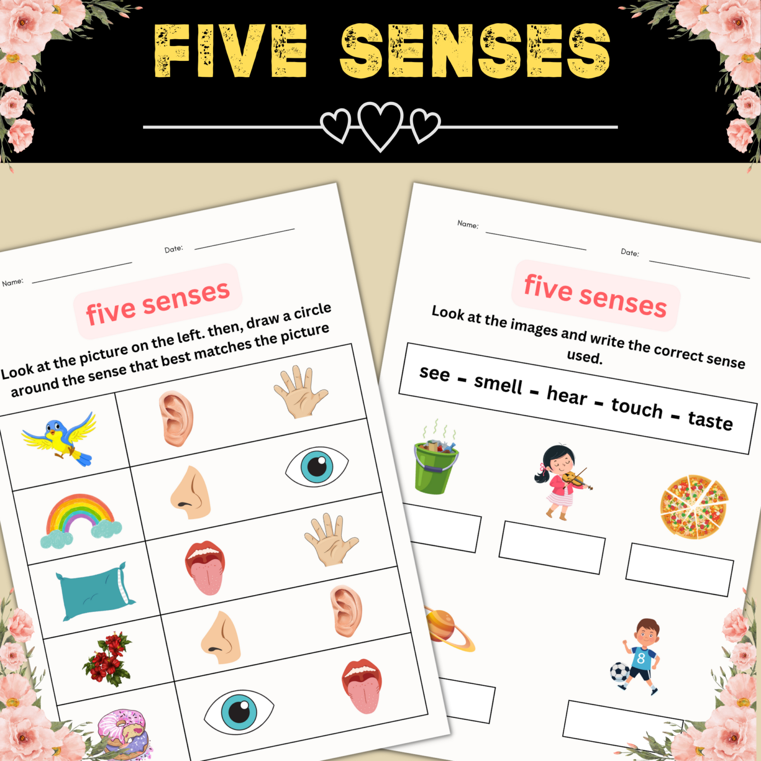 Observing Using the Five Senses Worksheets | Science for Kindergarten ...