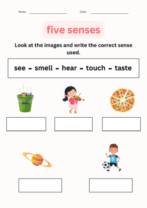 Observing Using the Five Senses Worksheets | Science for Kindergarten ...