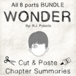 WONDER Chapter Summaries | Made By Teachers