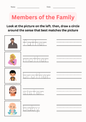 Family Tree Activity for Kids | Made By Teachers