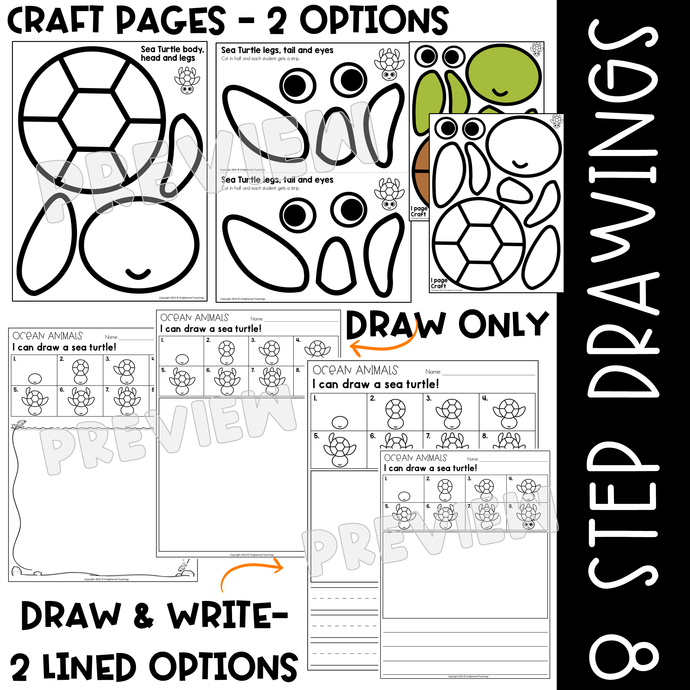 Sea Turtle Craft, Ocean Crafts, Ocean Directed Drawing, Ocean Animal ...