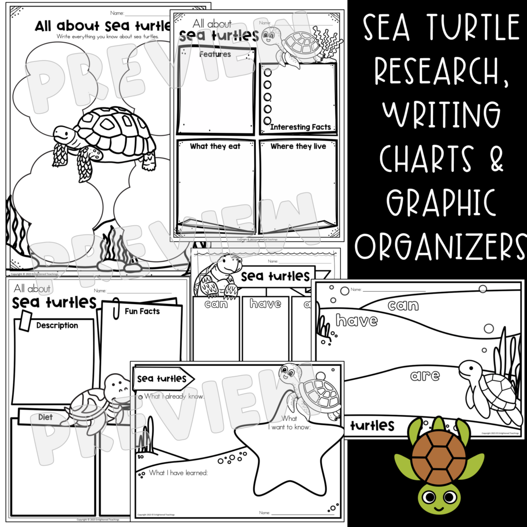Sea Turtle Craft, Ocean Crafts, Ocean Directed Drawing, Ocean Animal ...