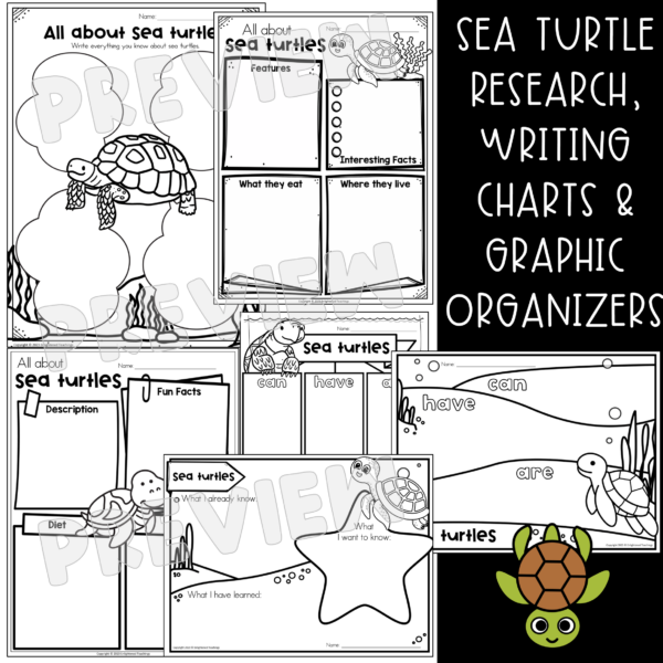 Sea Turtle Craft, Ocean Crafts, Ocean Directed Drawing, Ocean Animal ...