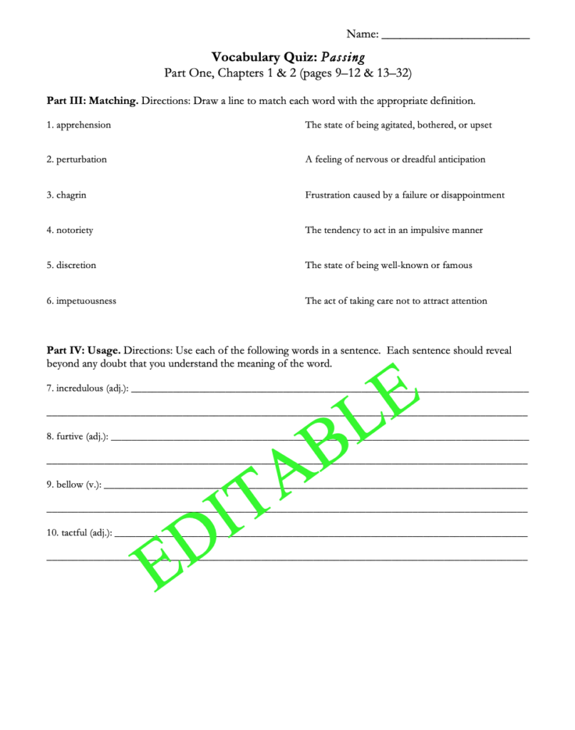 PASSING by Nella Larsen | COMPLETE UNIT: Reading Quizzes, Discussion ...