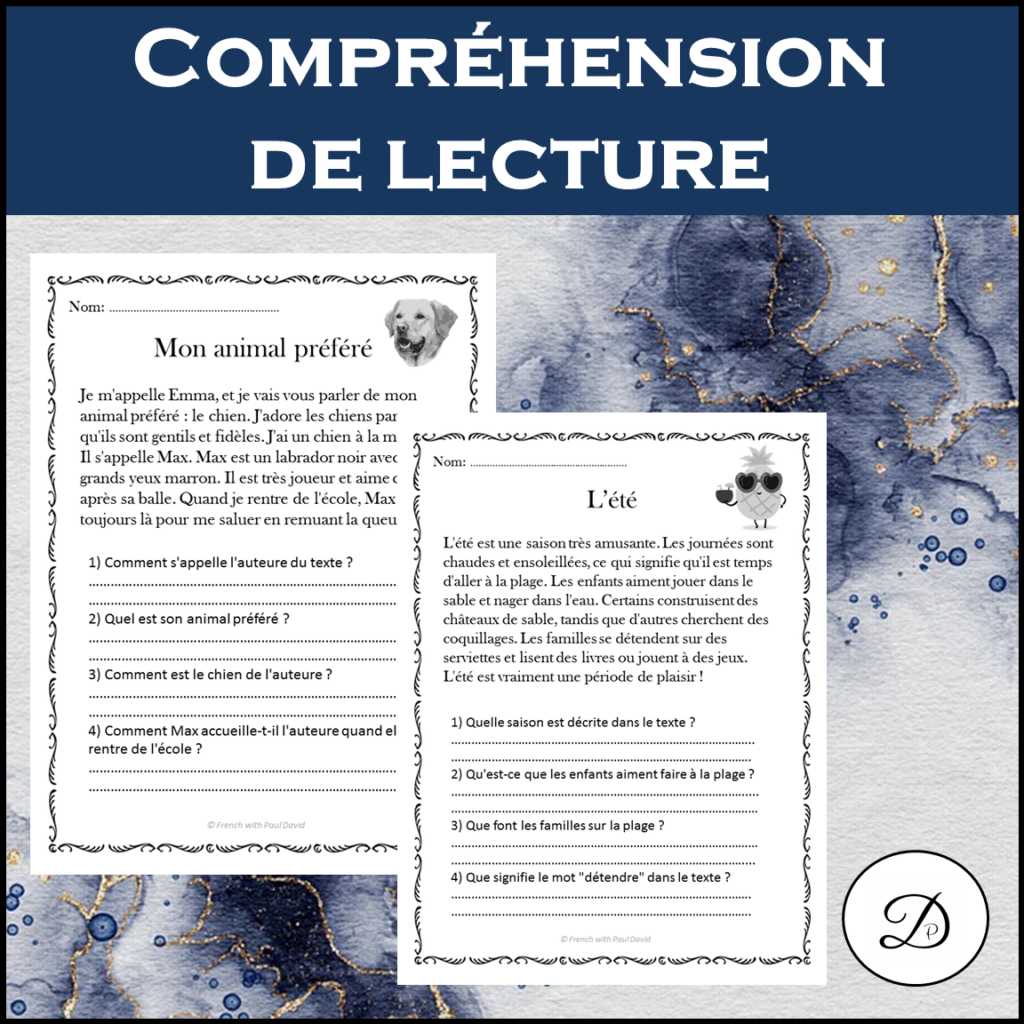 Compréhension de lecture - 20 textes - French Reading Comprehension ...