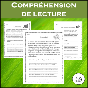 Compréhension de lecture - 20 textes - French Reading Comprehension ...
