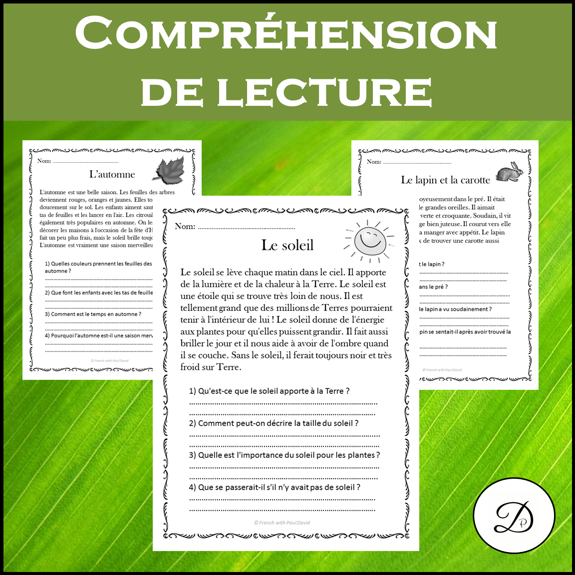 Compréhension de lecture - 20 textes - French Reading Comprehension ...