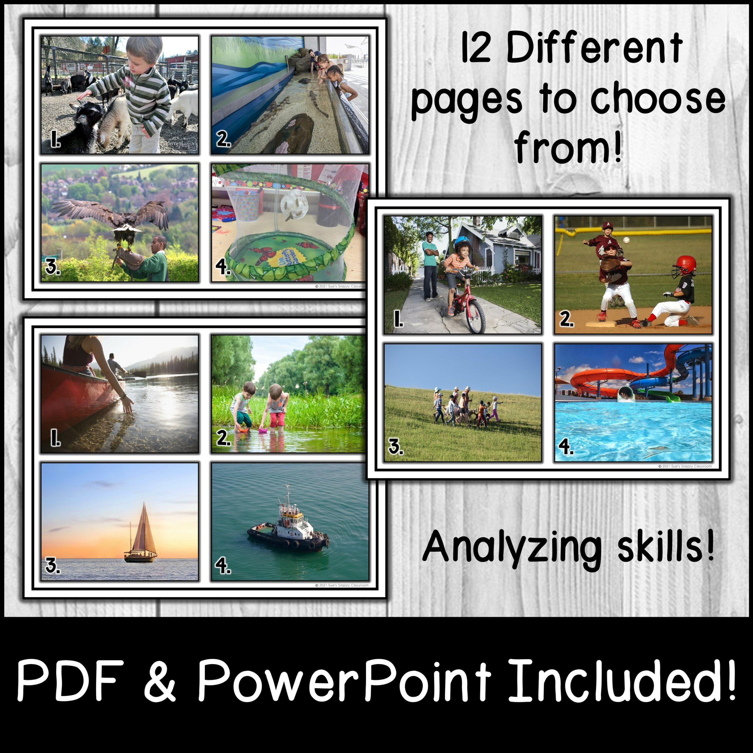 Summer Which One Doesn't Belong | Critical Thinking Skills Activity ...