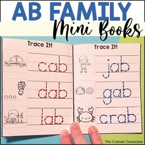 AD Word Family Foldable Mini Books | Made By Teachers