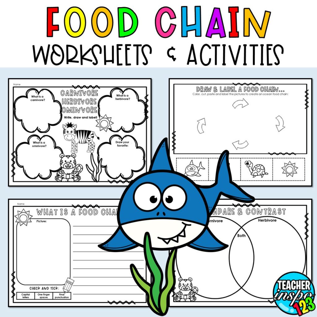 Food Chains and Food Webs Science Worksheets 2nd and 3rd Grade | Made ...