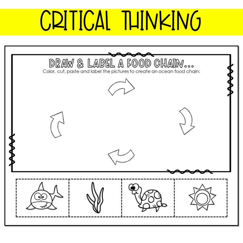 Food Chains and Food Webs Science Worksheets 2nd and 3rd Grade | Made ...