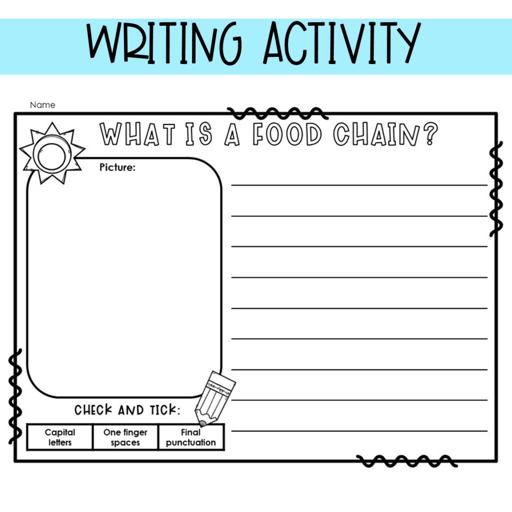 Food Chains and Food Webs Science Worksheets 2nd and 3rd Grade | Made ...