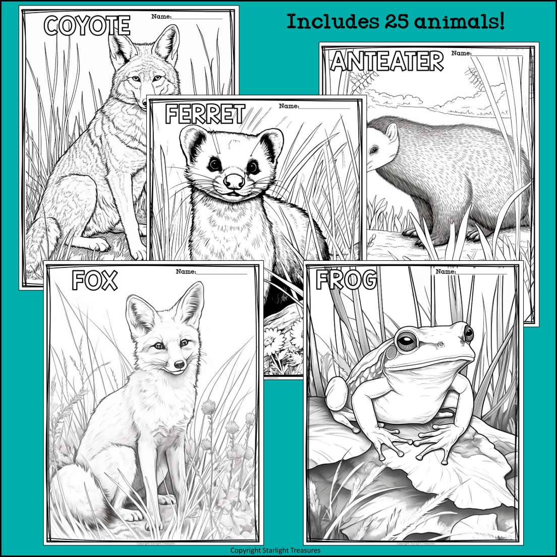 Prairie Animals Research Posters, Coloring Pages - Animal Research ...