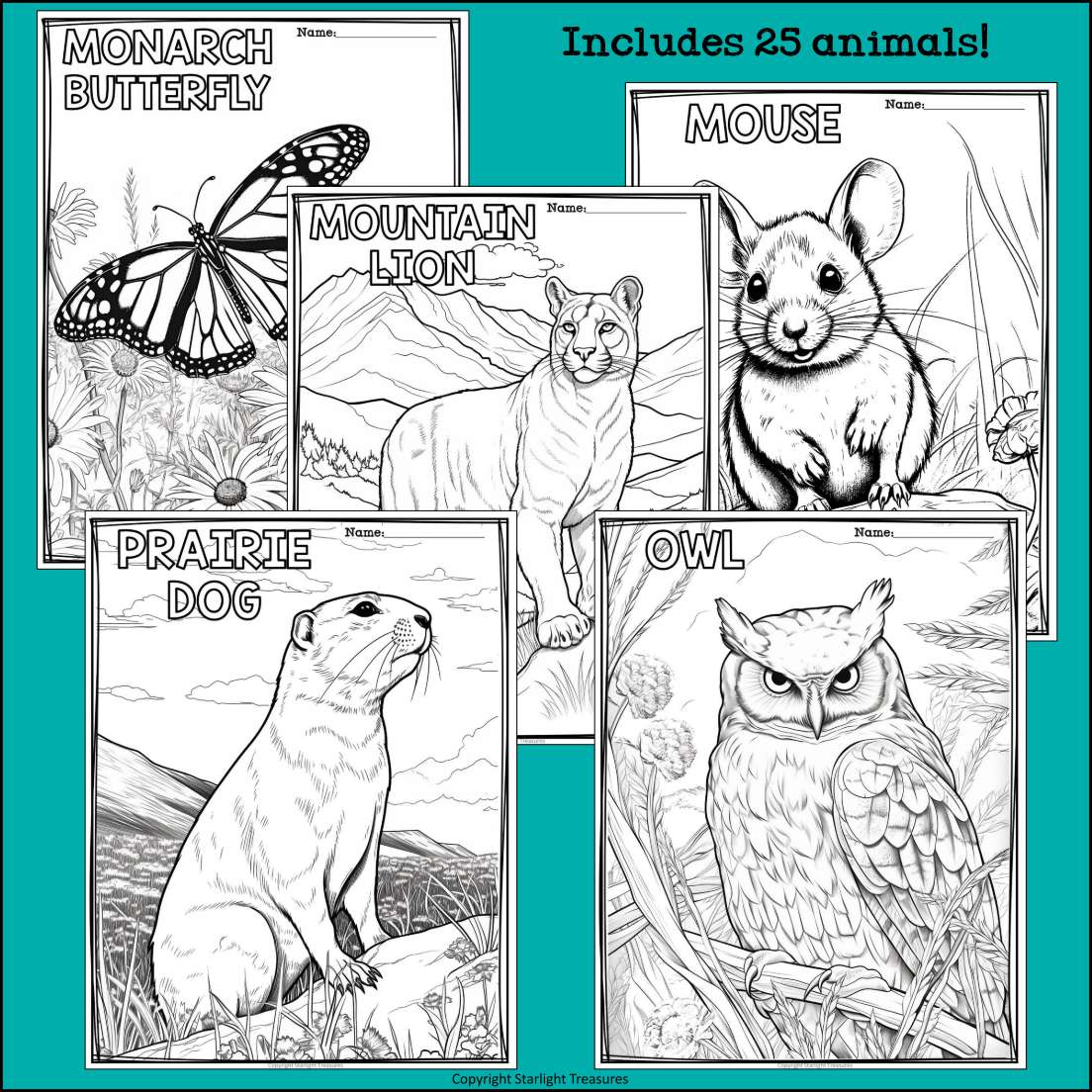 Prairie Animals Research Posters, Coloring Pages - Animal Research ...
