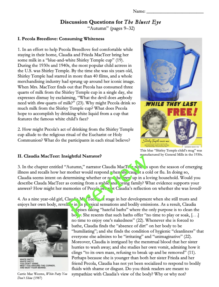 The Bluest Eye COMPLETE UNIT: Discussion Questions, Worksheets, Quizzes ...