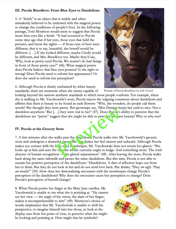 The Bluest Eye COMPLETE UNIT: Discussion Questions, Worksheets, Quizzes ...