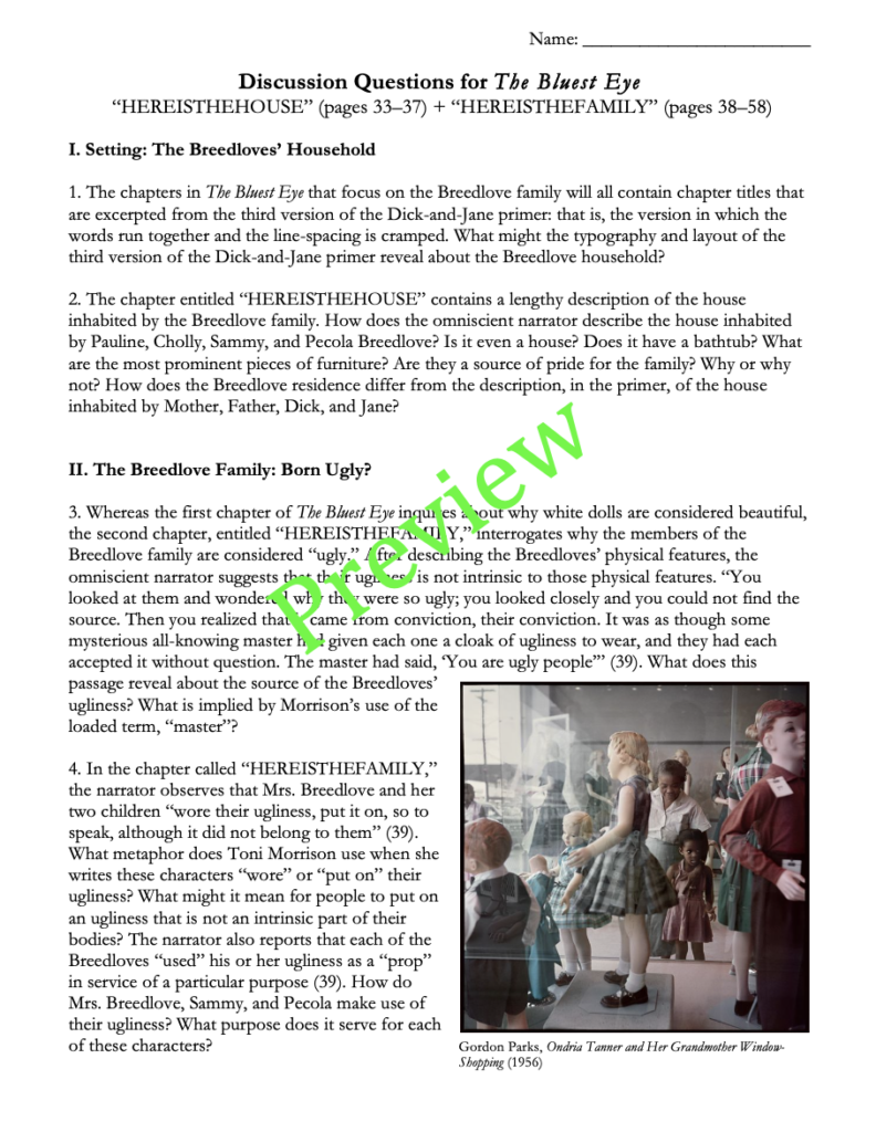 The Bluest Eye COMPLETE UNIT: Discussion Questions, Worksheets, Quizzes ...