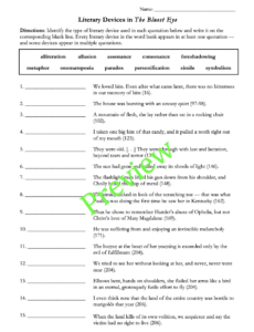 The Bluest Eye COMPLETE UNIT: Discussion Questions, Worksheets, Quizzes ...