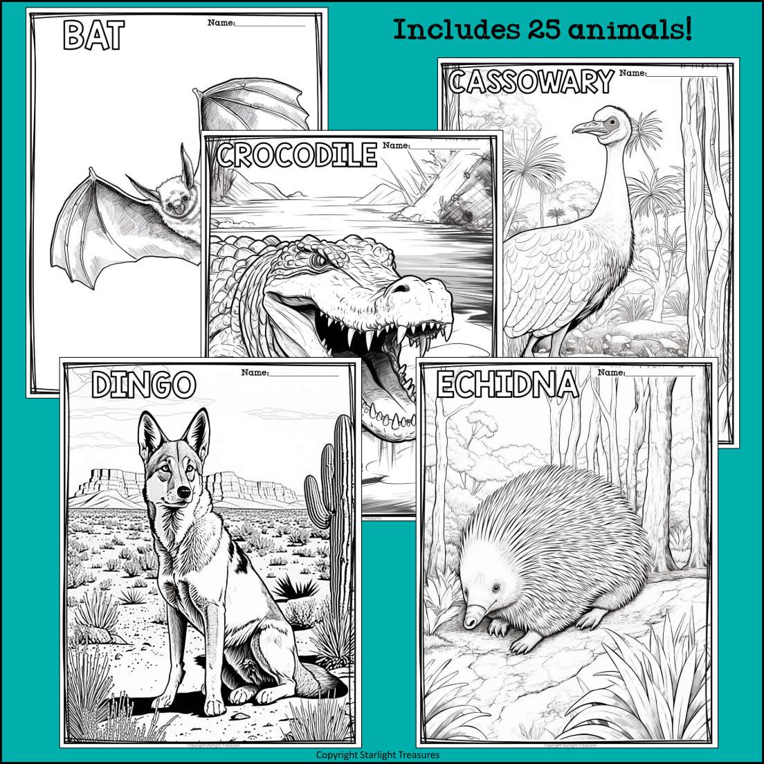 Australian Animals Research Posters, Coloring Pages - Animal Research ...