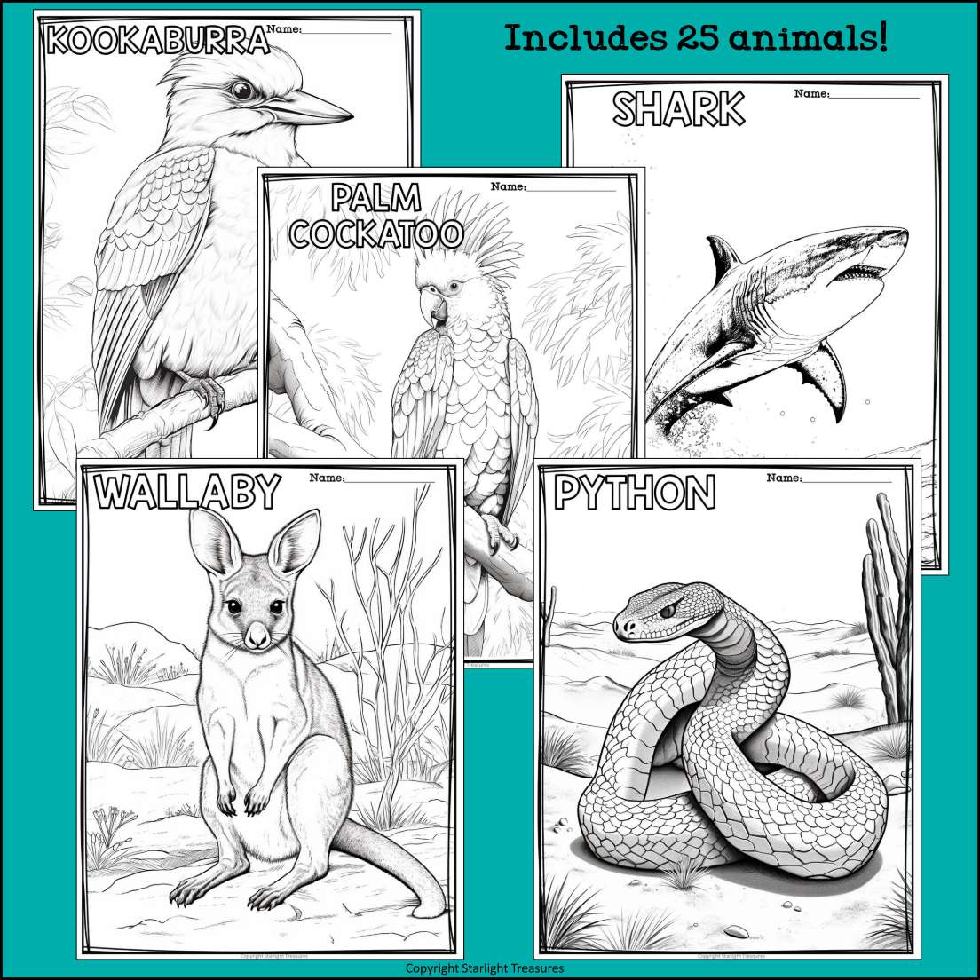 Australian Animals Research Posters, Coloring Pages - Animal Research ...