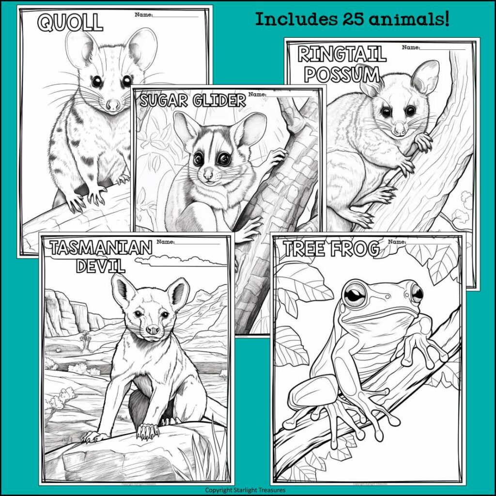 Australian Animals Research Posters, Coloring Pages - Animal Research ...
