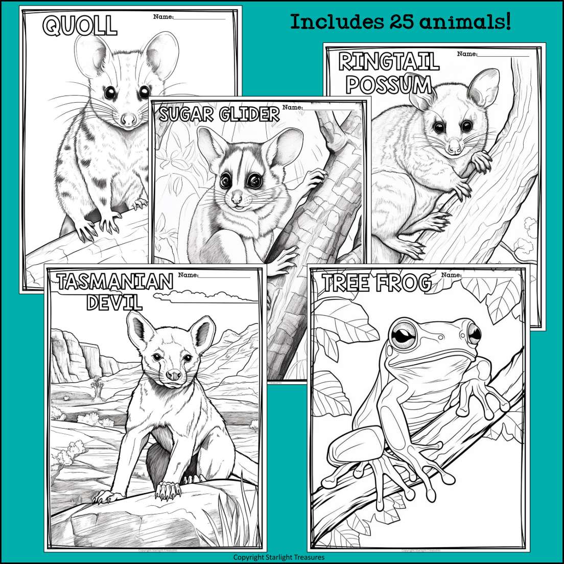 Australian Animals Research Posters, Coloring Pages - Animal Research ...