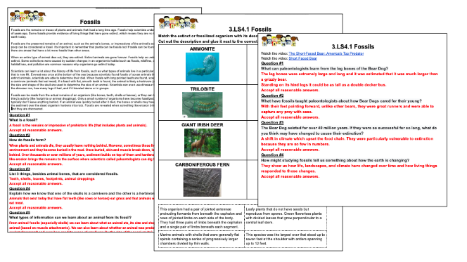 3rd Grade Fossils 3.LS4.1 Activities | Made By Teachers