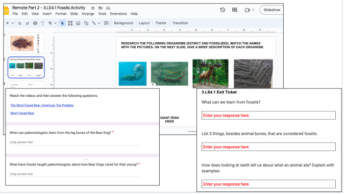 3rd Grade Fossils 3.LS4.1 Activities | Made By Teachers