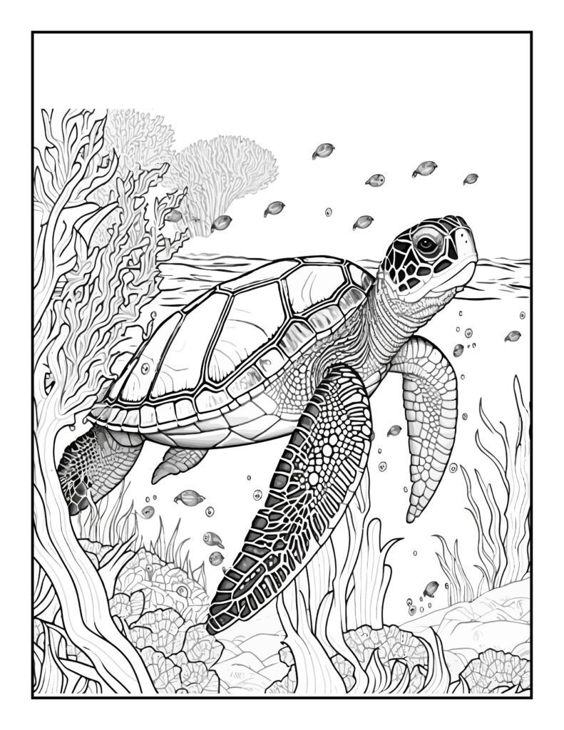 Dive into Creativity with our Sea Coloring Pages | Made By Teachers
