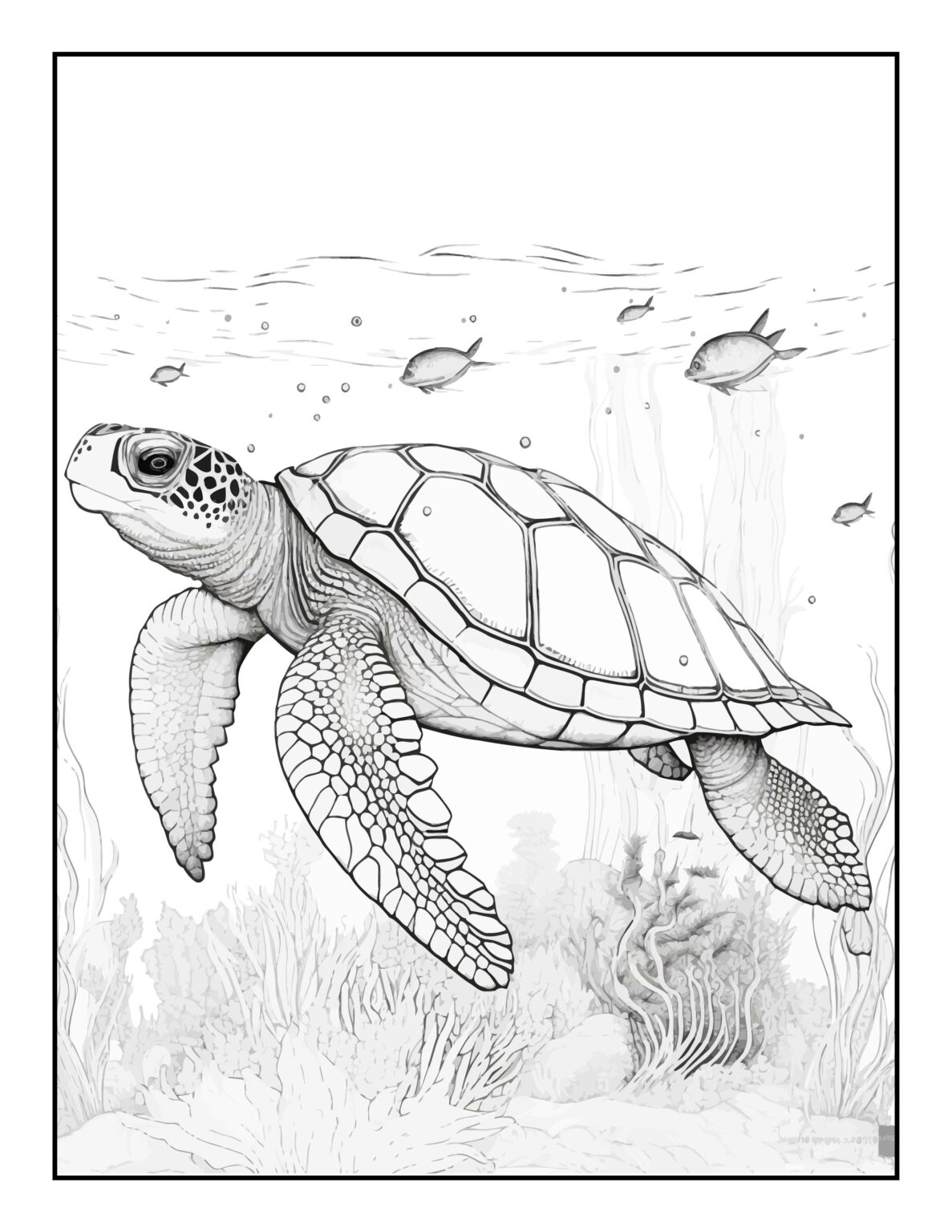 Dive into Creativity with our Sea Coloring Pages | Made By Teachers