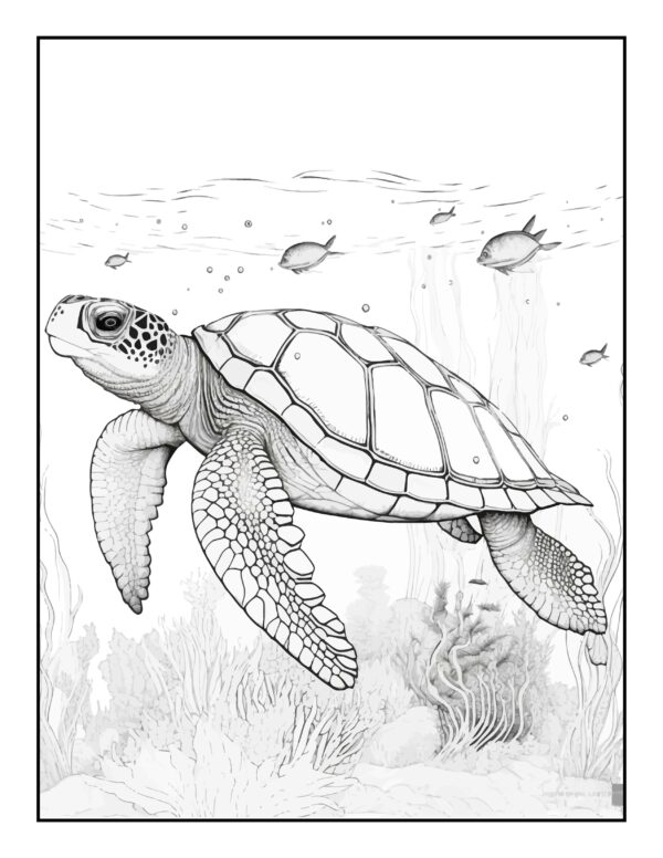 Dive into Creativity with our Sea Coloring Pages | Made By Teachers