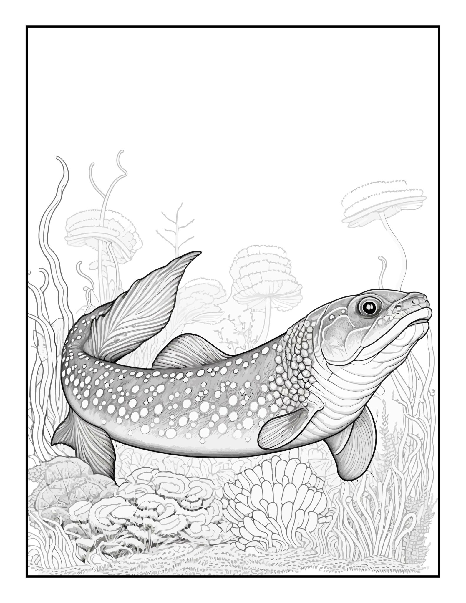 Dive into Creativity with our Sea Coloring Pages | Made By Teachers
