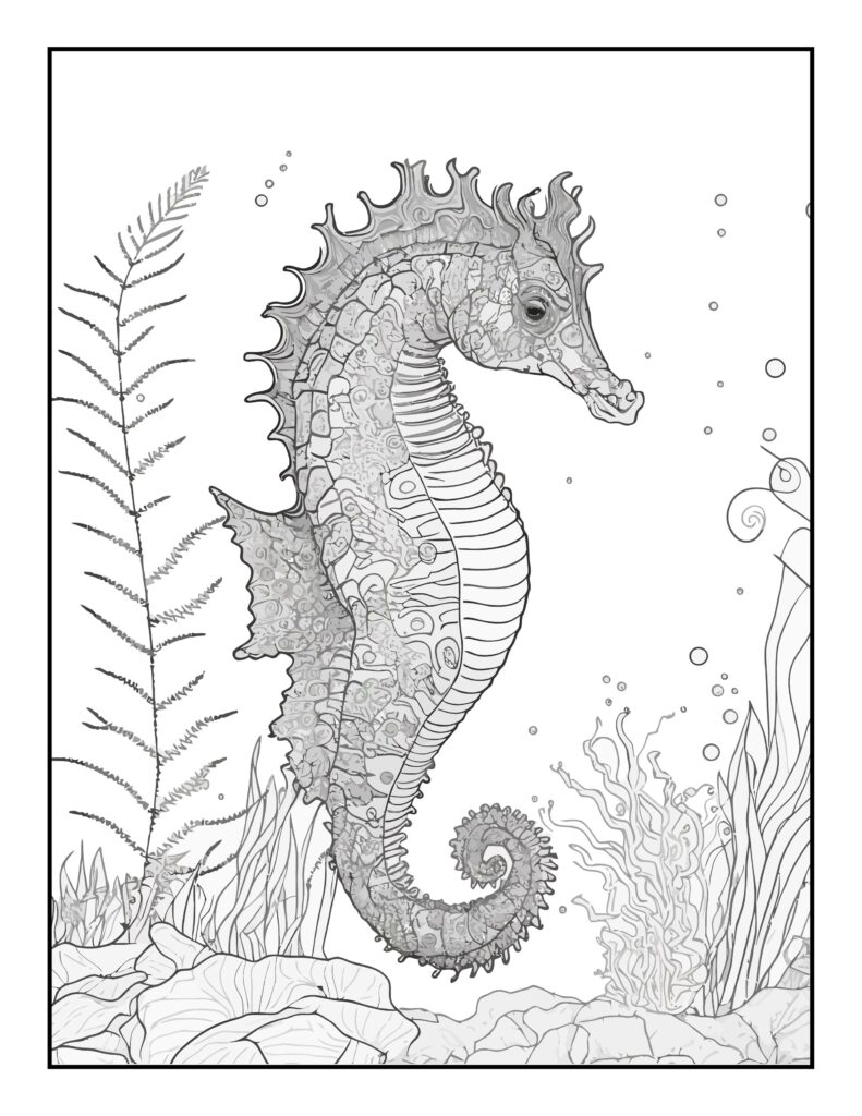 Dive into Creativity with our Sea Coloring Pages | Made By Teachers