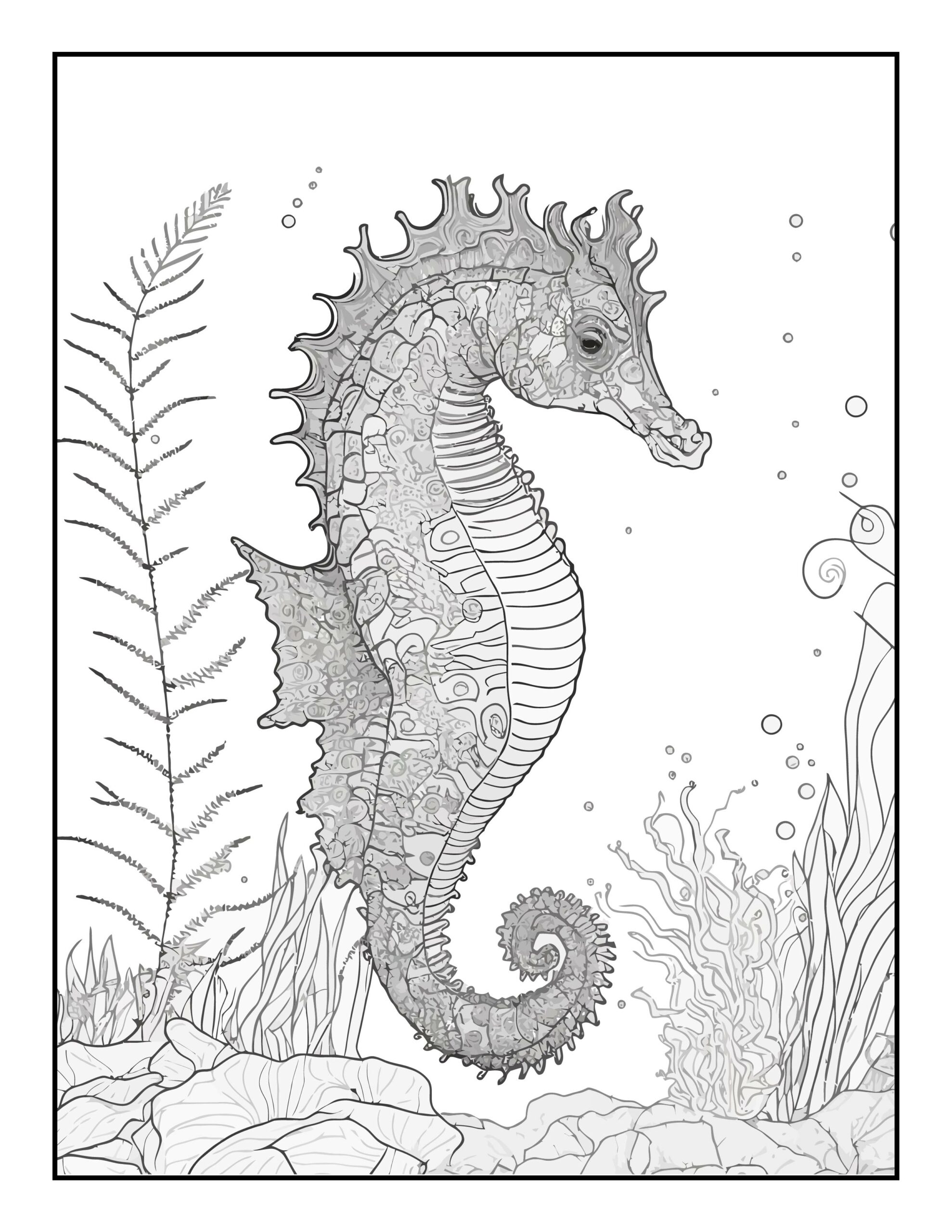 Dive into Creativity with our Sea Coloring Pages | Made By Teachers