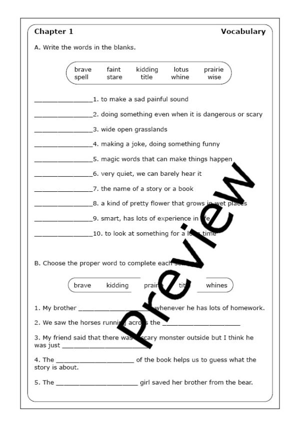 Magic Tree House "Dingoes at Dinnertime" worksheets | Made By Teachers