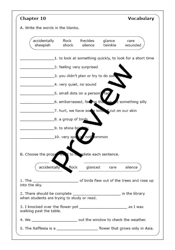 Magic Tree House "Dingoes at Dinnertime" worksheets | Made By Teachers