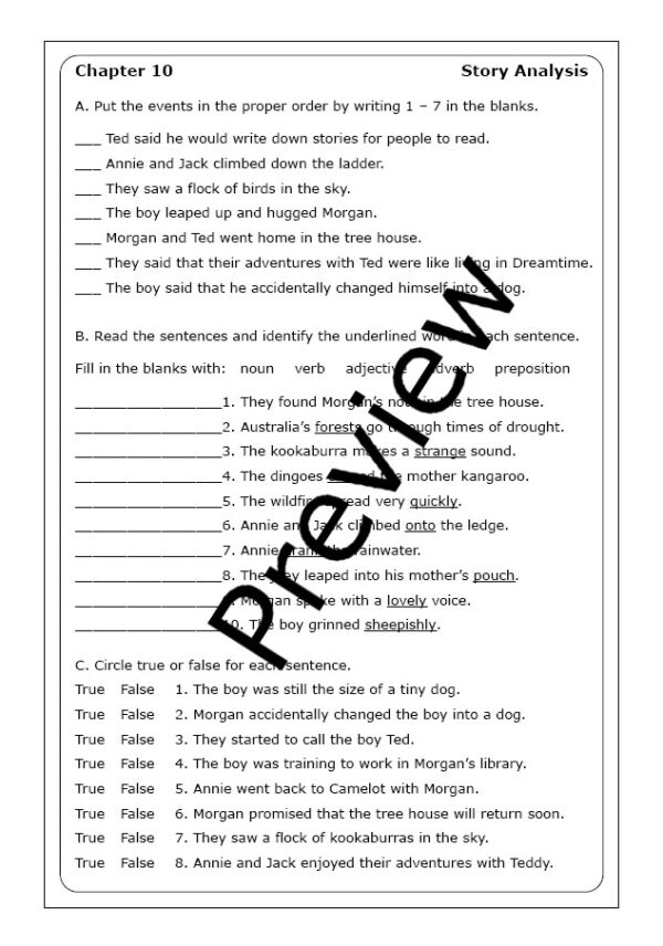 Magic Tree House "Dingoes at Dinnertime" worksheets | Made By Teachers