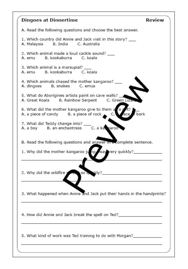 Magic Tree House "Dingoes at Dinnertime" worksheets | Made By Teachers