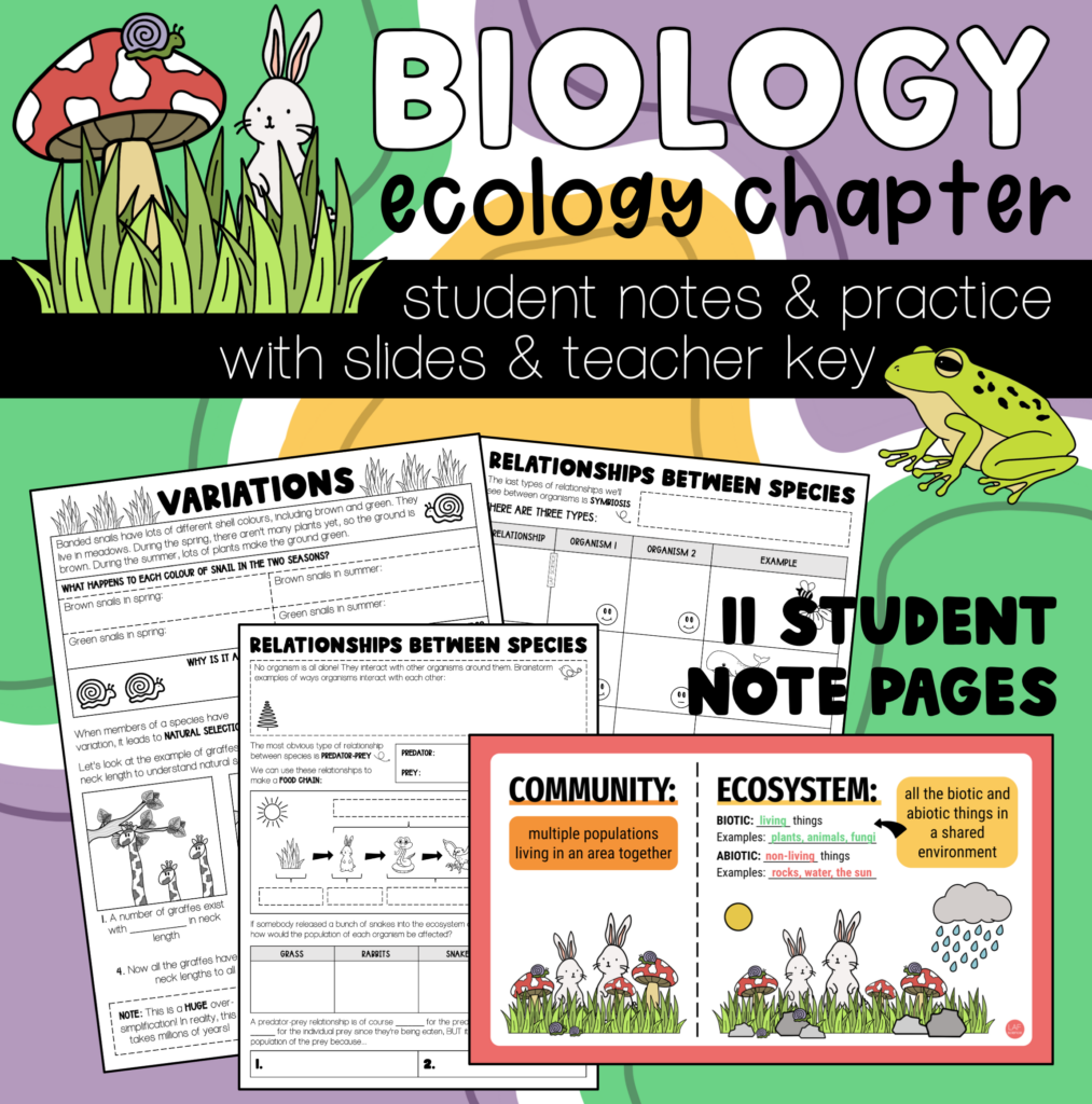 Ecology & Biodiversity Chapter Notes and Practice | Made By Teachers