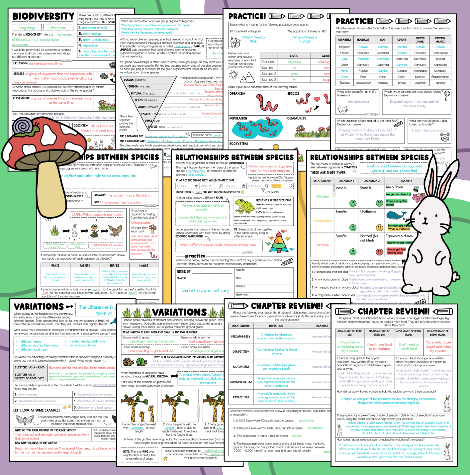 Ecology & Biodiversity Chapter Notes and Practice | Made By Teachers